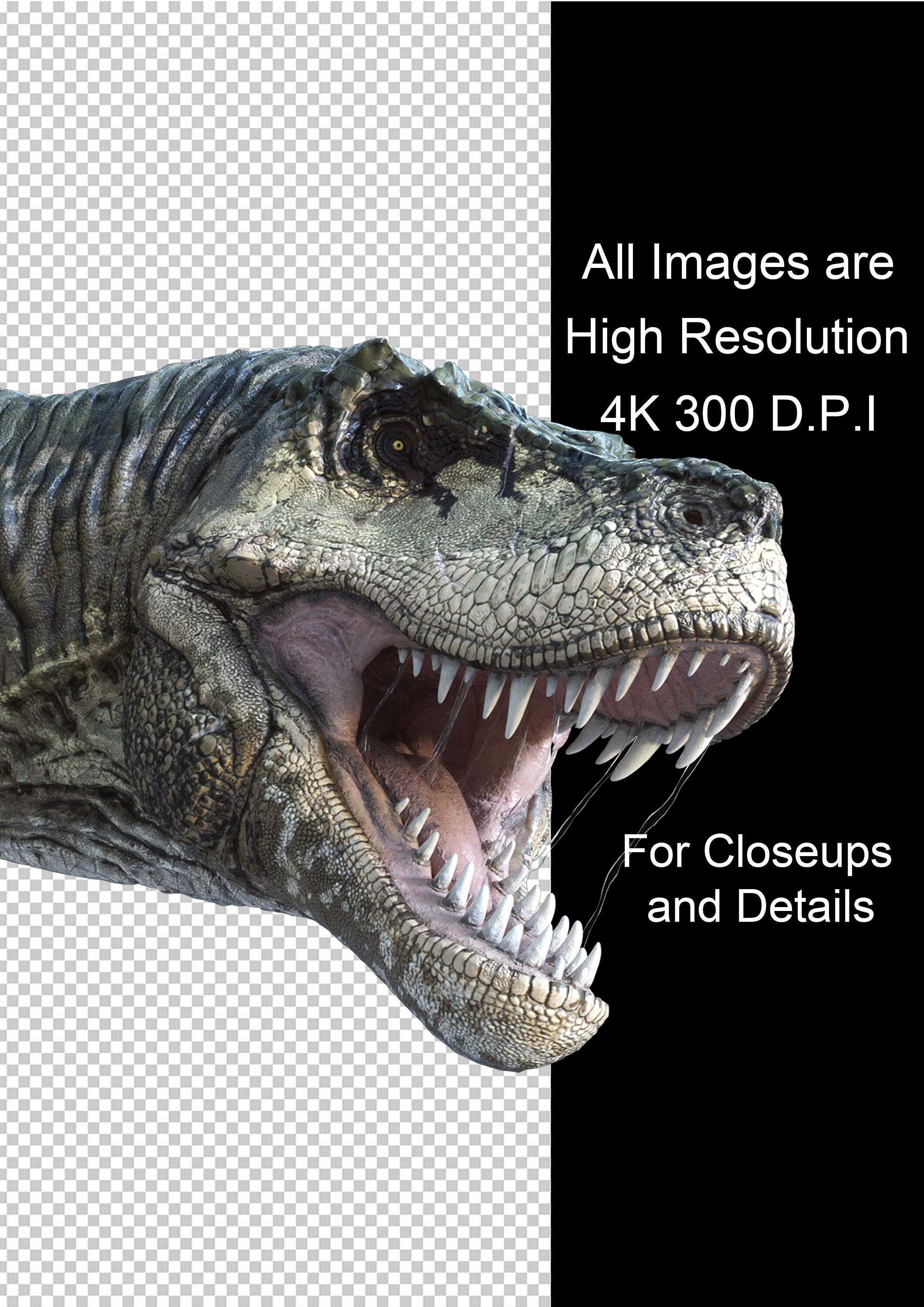 10 Trex Transparent Overlays,transparent PNG Trex,t-rex Clip Art for ...