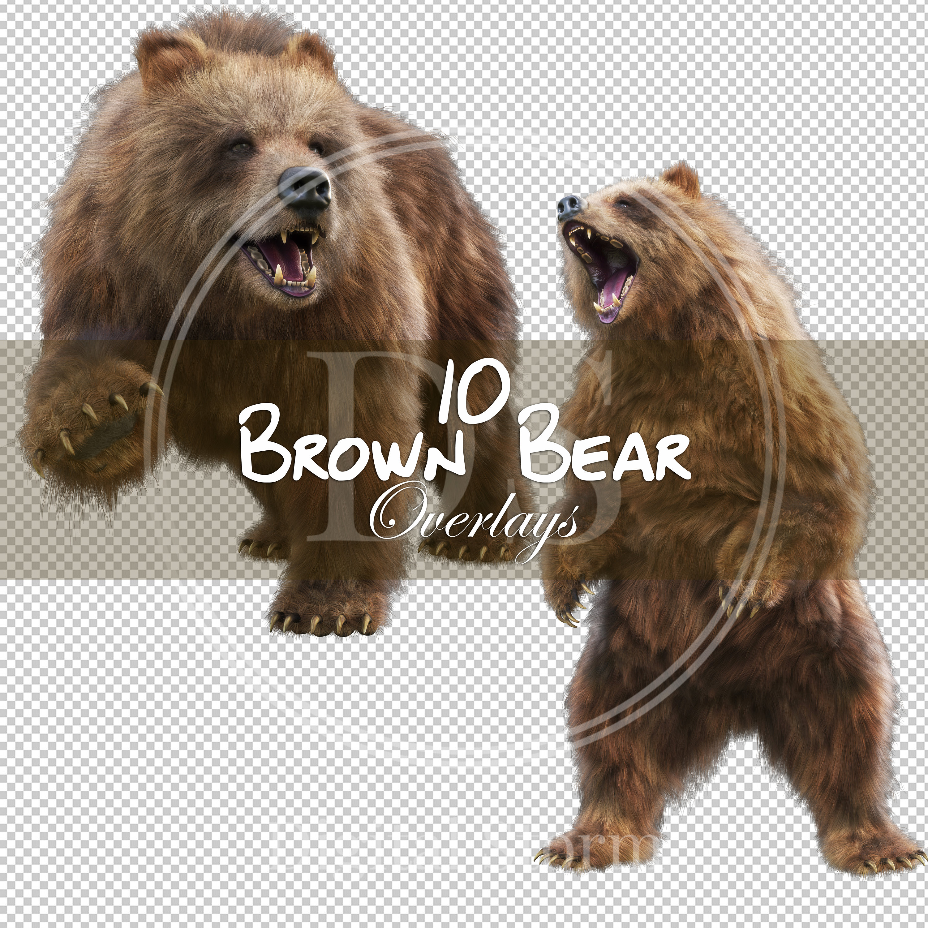 10 Brown Bear Transparent Overlays,transparent PNG Bear,brown Bear Clip ...
