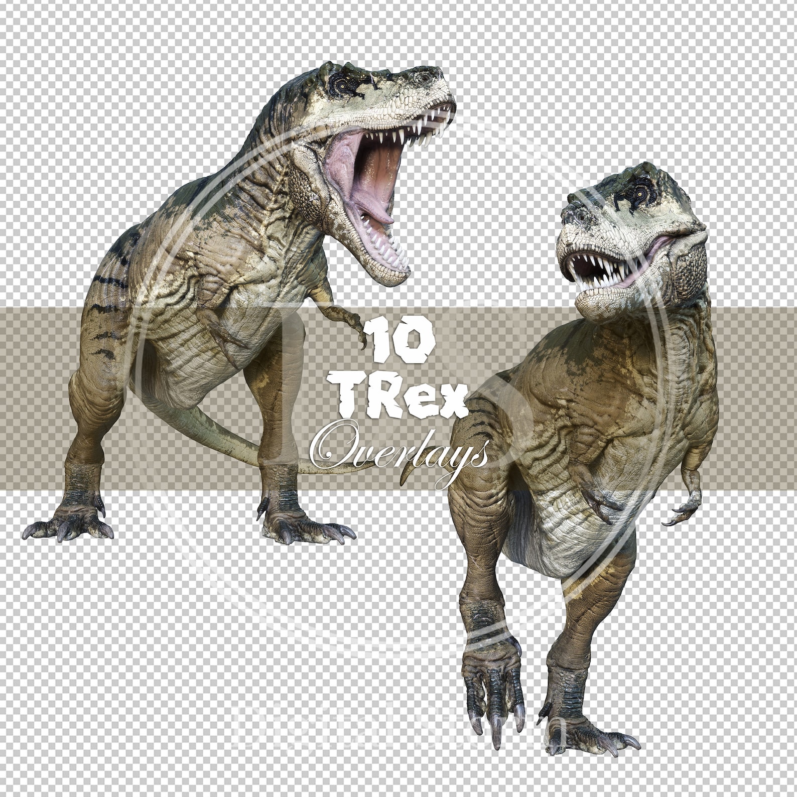 10 Trex Transparent Overlays,transparent PNG Trex,t-rex Clip Art for ...