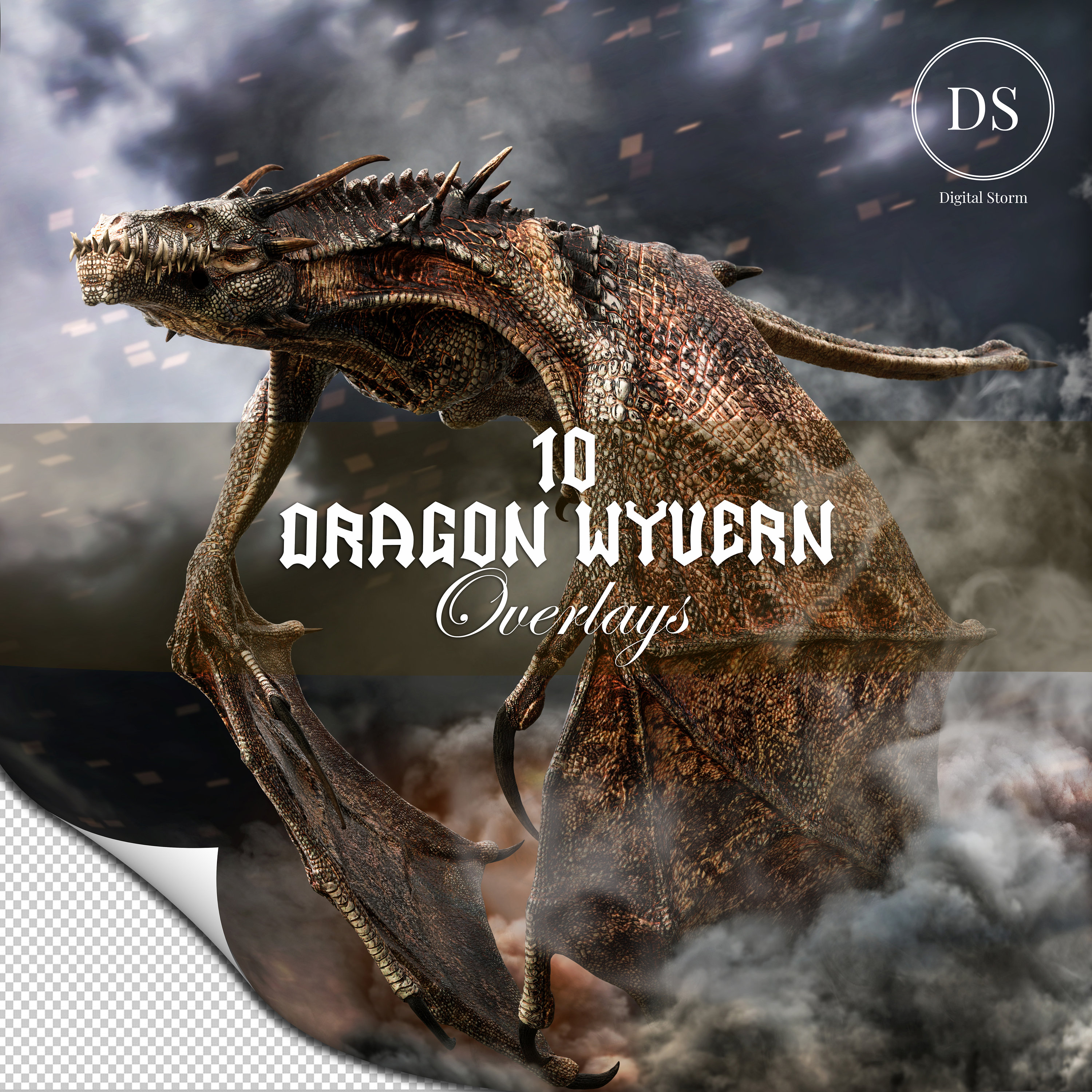 10 Fantasy Dragon Wyvern Transparent Overlays,transparent PNG Dragons ...