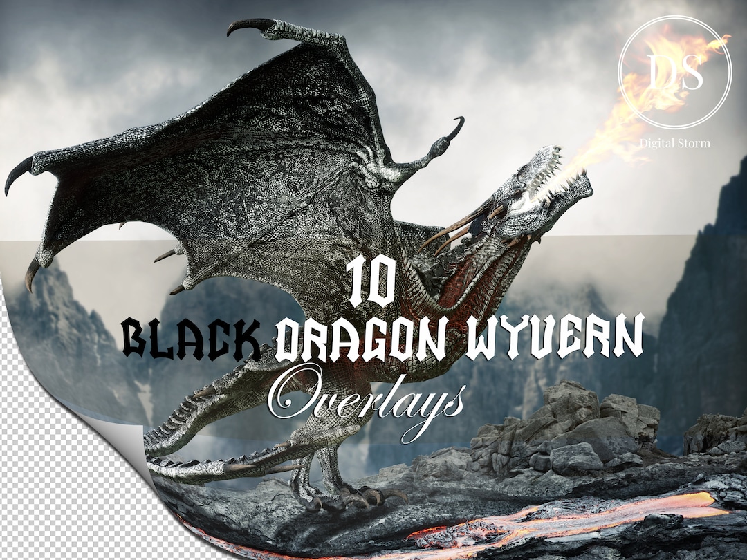 10 Fantasy Dragon Black Wyvern Transparent Overlays,transparent PNG ...