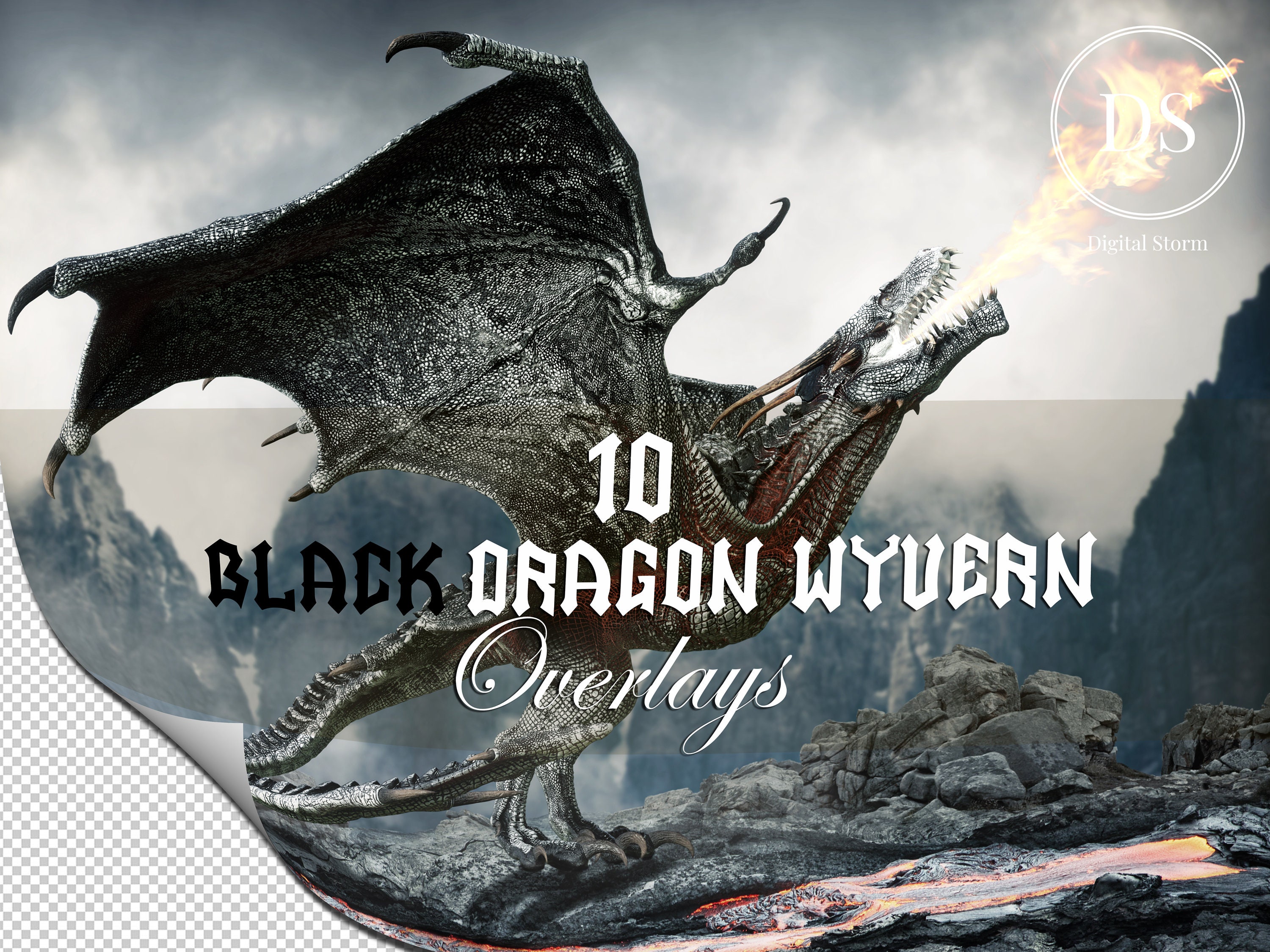 10 Fantasy Dragon Black Wyvern Transparent Overlays,transparent PNG ...