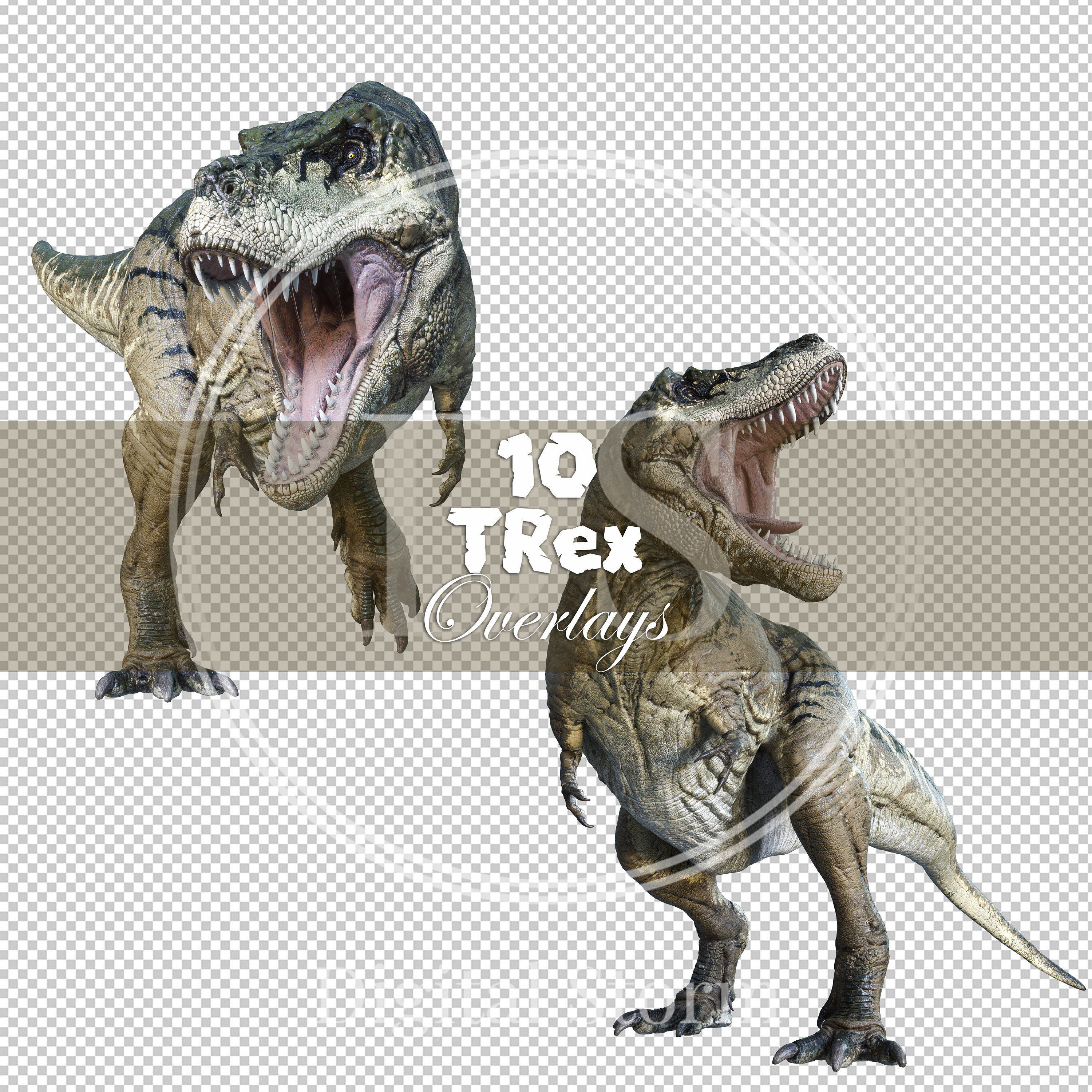 10 Trex Transparent Overlays,transparent PNG Trex,t-rex Clip Art for ...