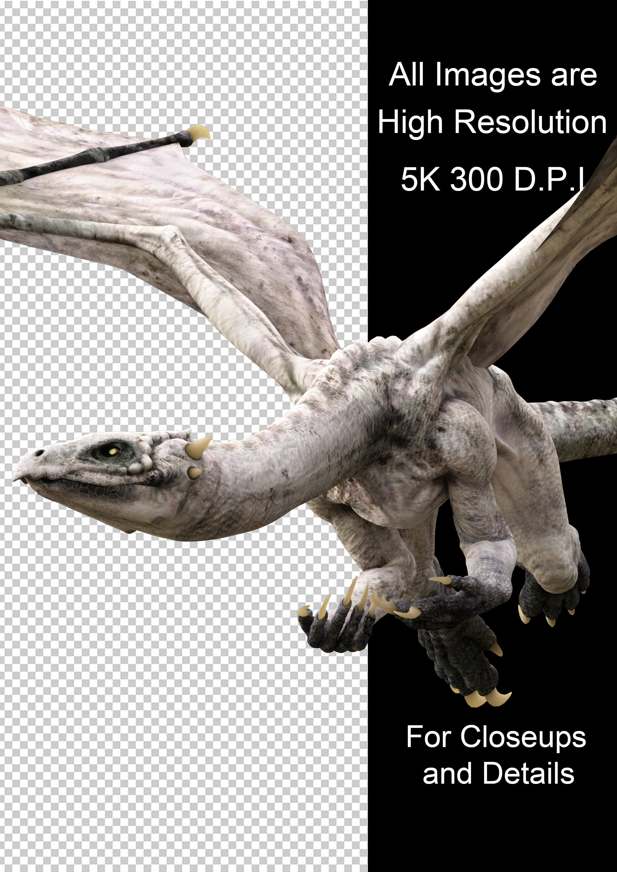 10 Tiny Dragon Transparent Overlays,transparent PNG Dragons,dragon Clip ...