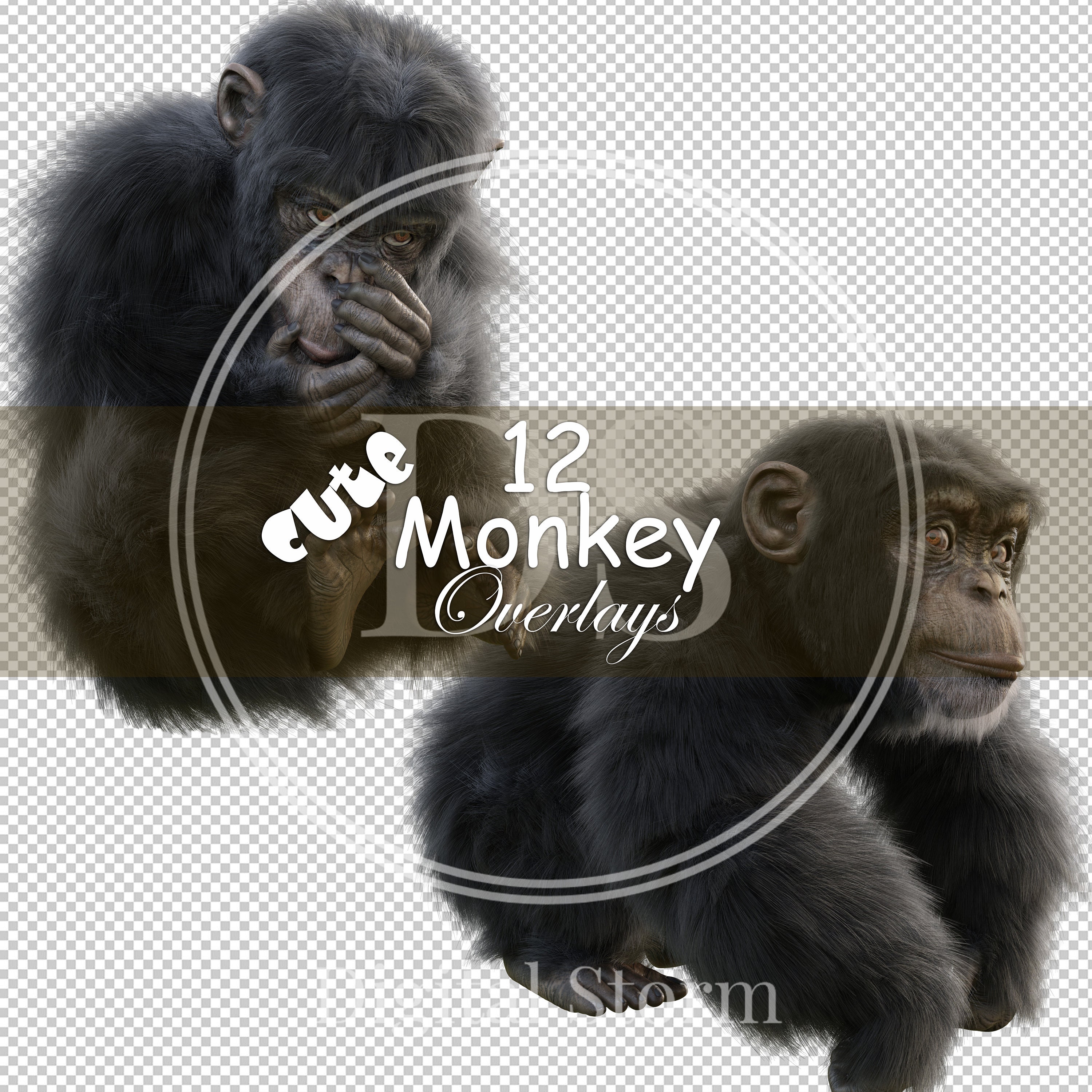 Chimpanzee , 12 Monkey Overlays, Grate Ape , Baby Monkey, Cute Monkey ...