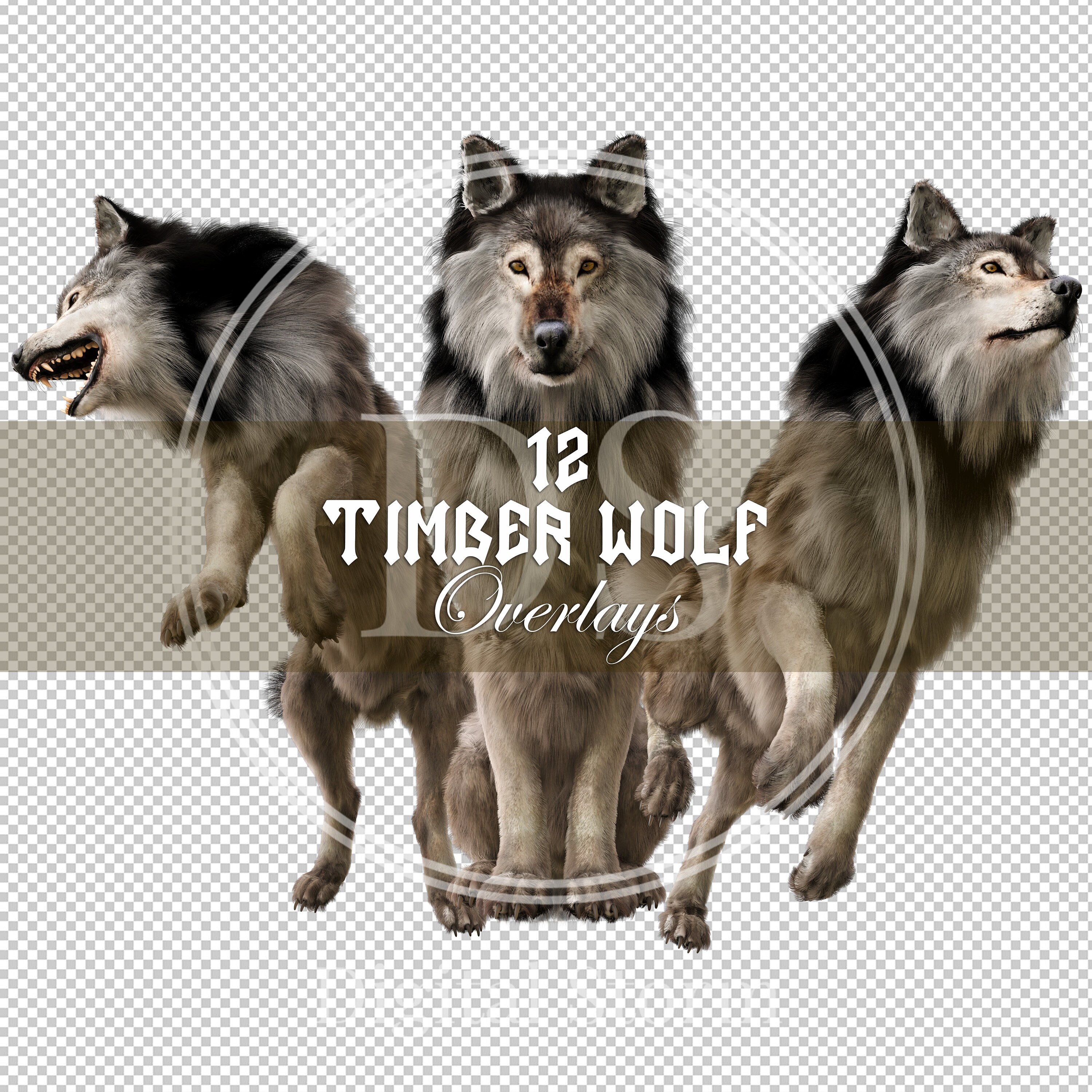 12 Timber Wolf Overlays , Wolf Clip Art , Transparent Background , PNG ...