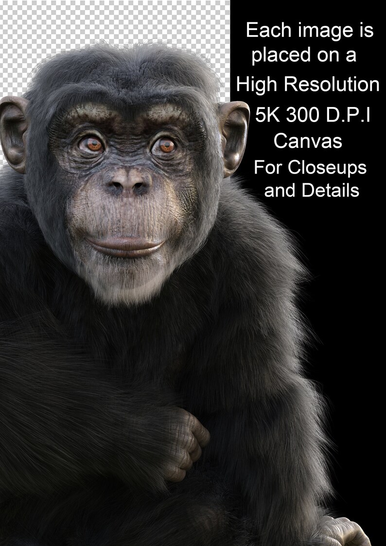 Chimpanzee , 12 Monkey Overlays, Grate Ape , Baby Monkey, Cute Monkey ...
