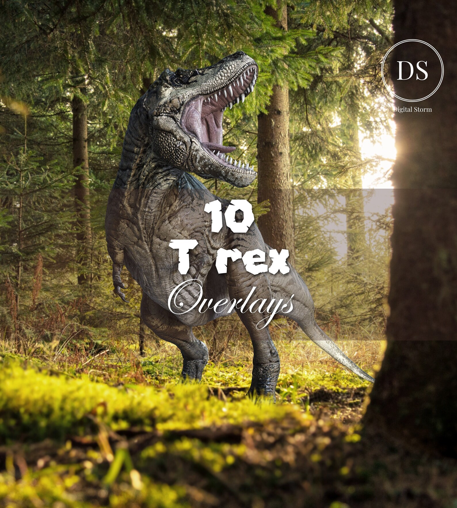 10 Trex Transparent Overlaystransparent PNG Trext-rex Clip | Etsy