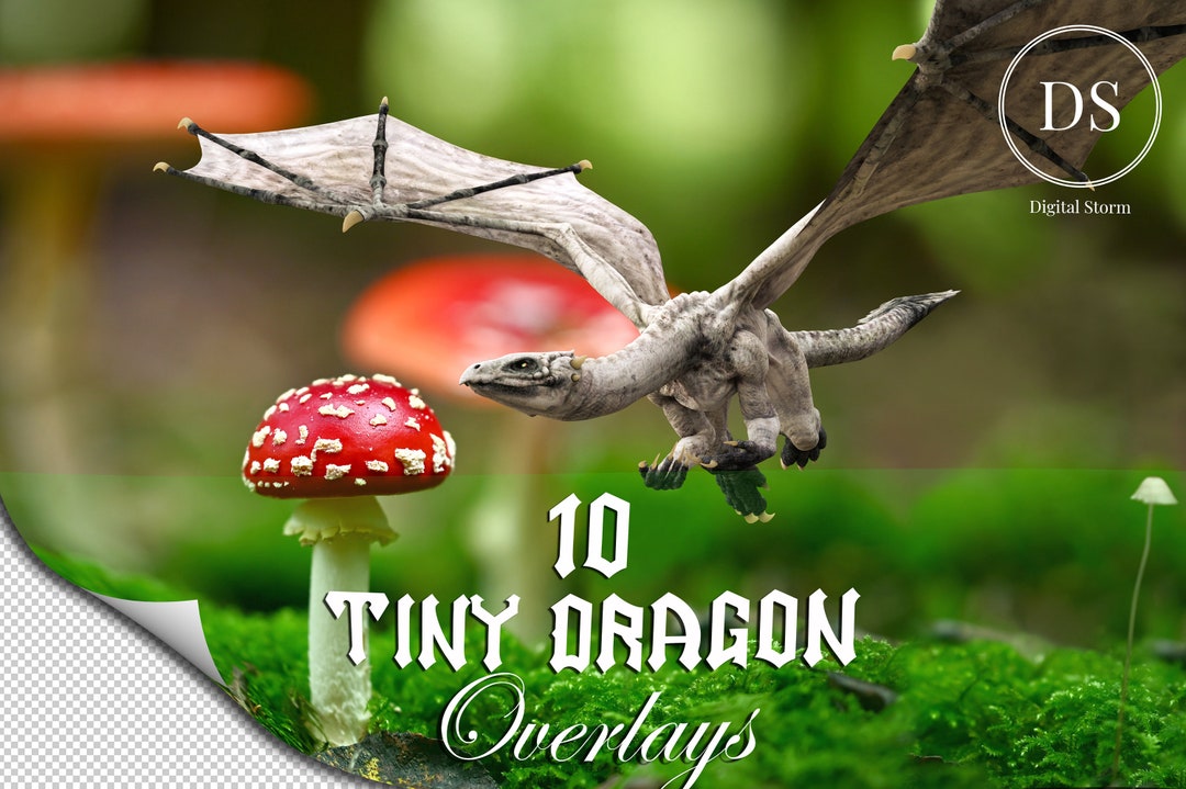 10 Tiny Dragon Transparent Overlays,transparent PNG Dragons,dragon Clip ...