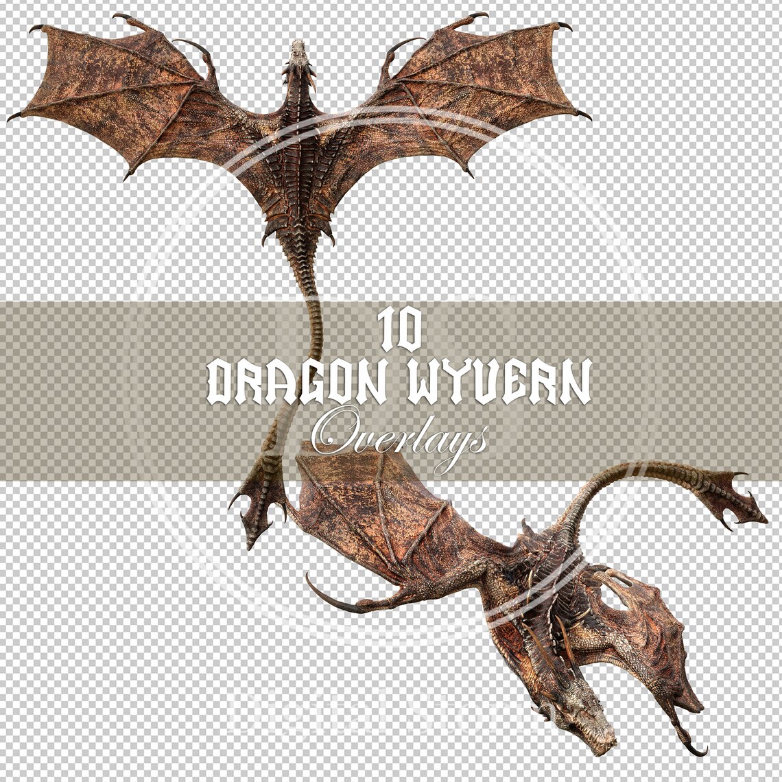 10 Fantasy Dragon Wyvern Transparent Overlays,transparent PNG Dragons ...