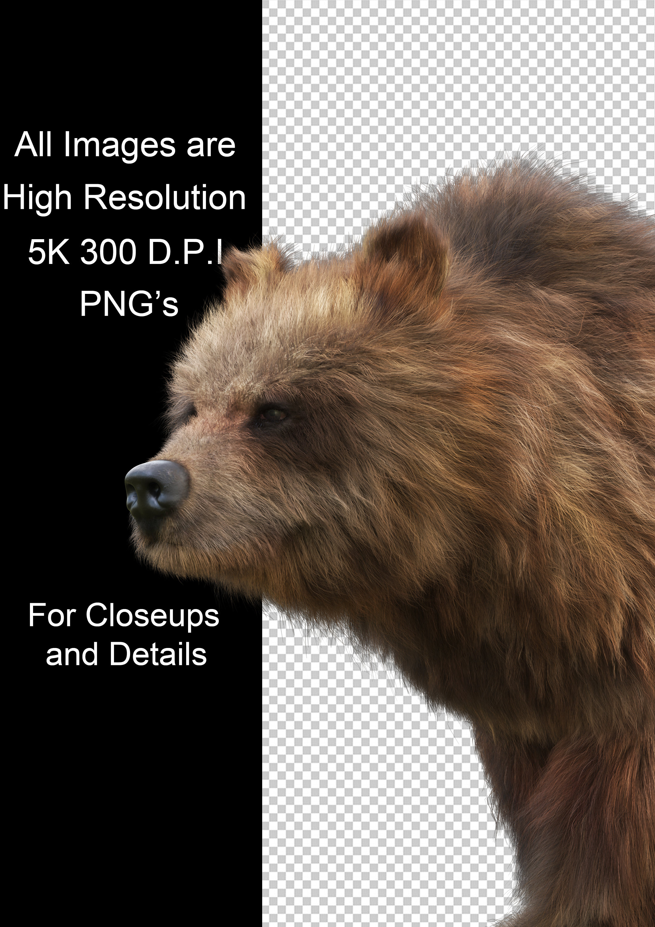 10 Brown Bear Transparent Overlays,transparent PNG Bear,brown Bear Clip ...