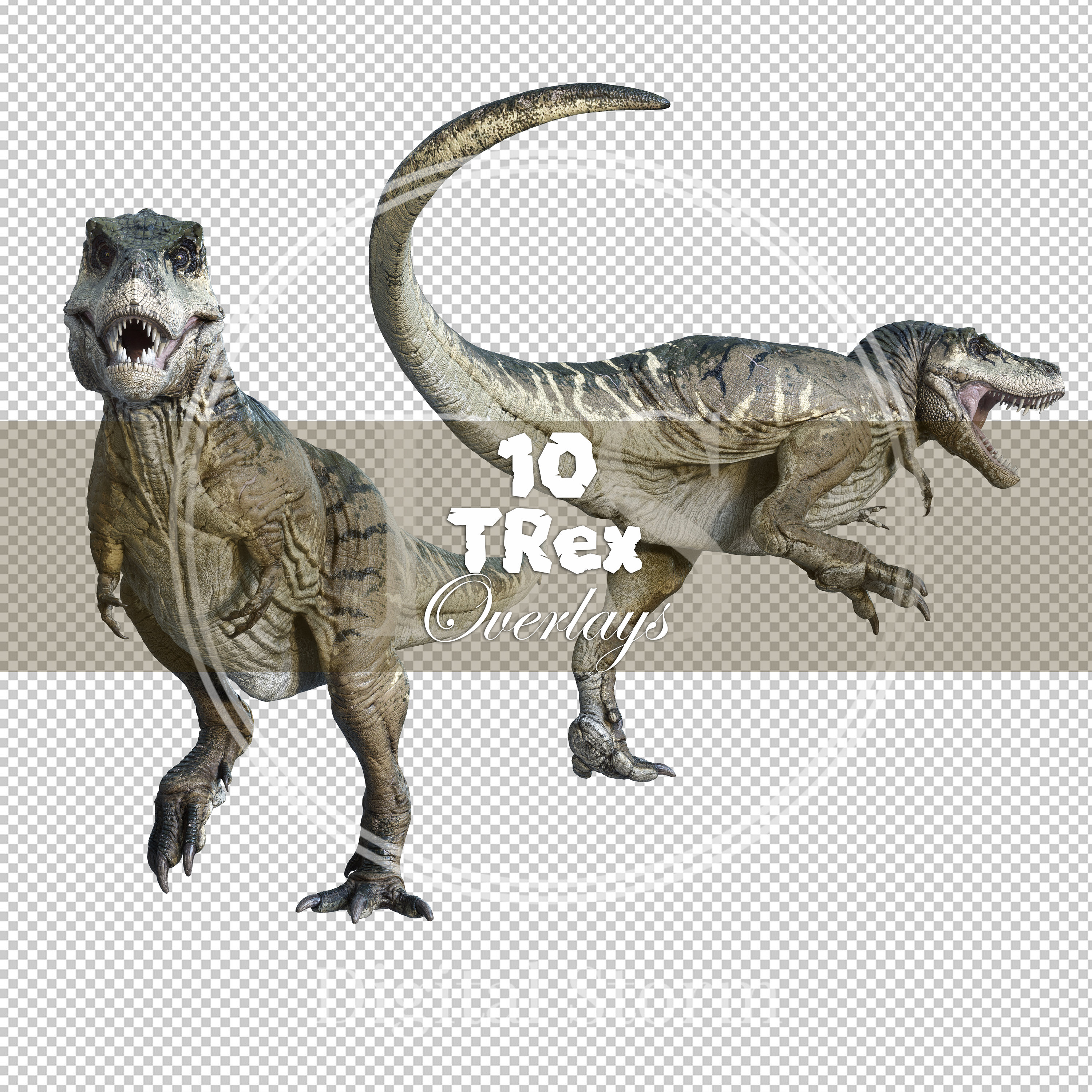 10 Trex Transparent Overlays,transparent PNG Trex,t-rex Clip Art for ...