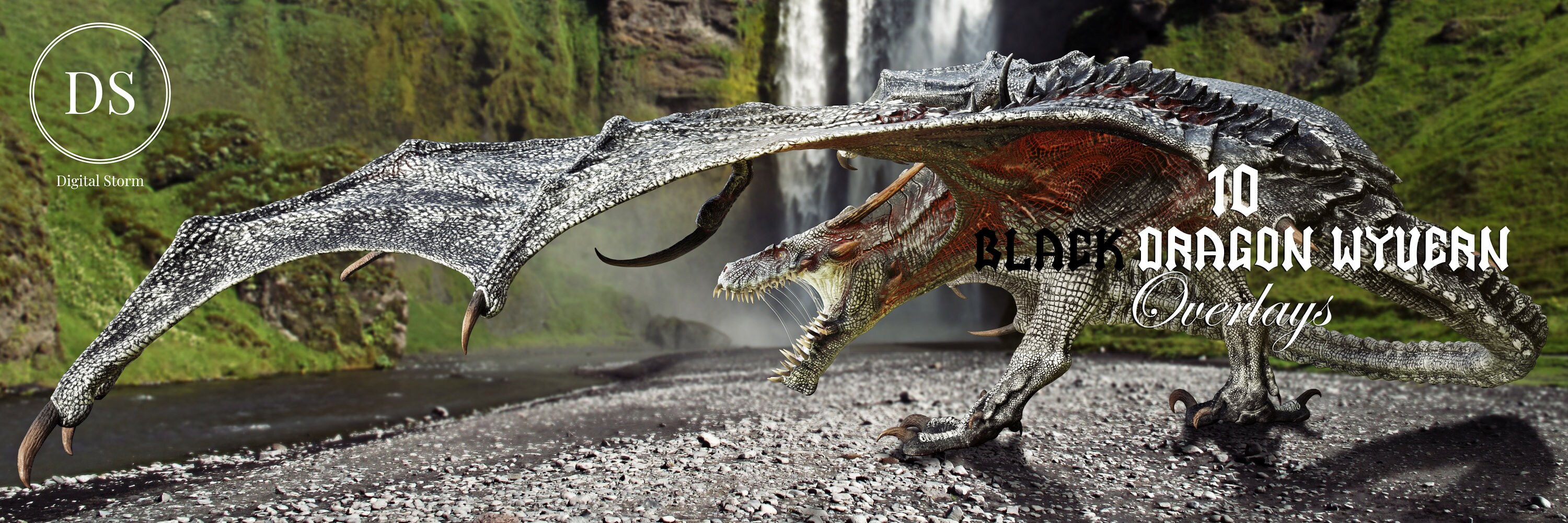 10 Fantasy Dragon Black Wyvern Transparent Overlays,transparent PNG ...