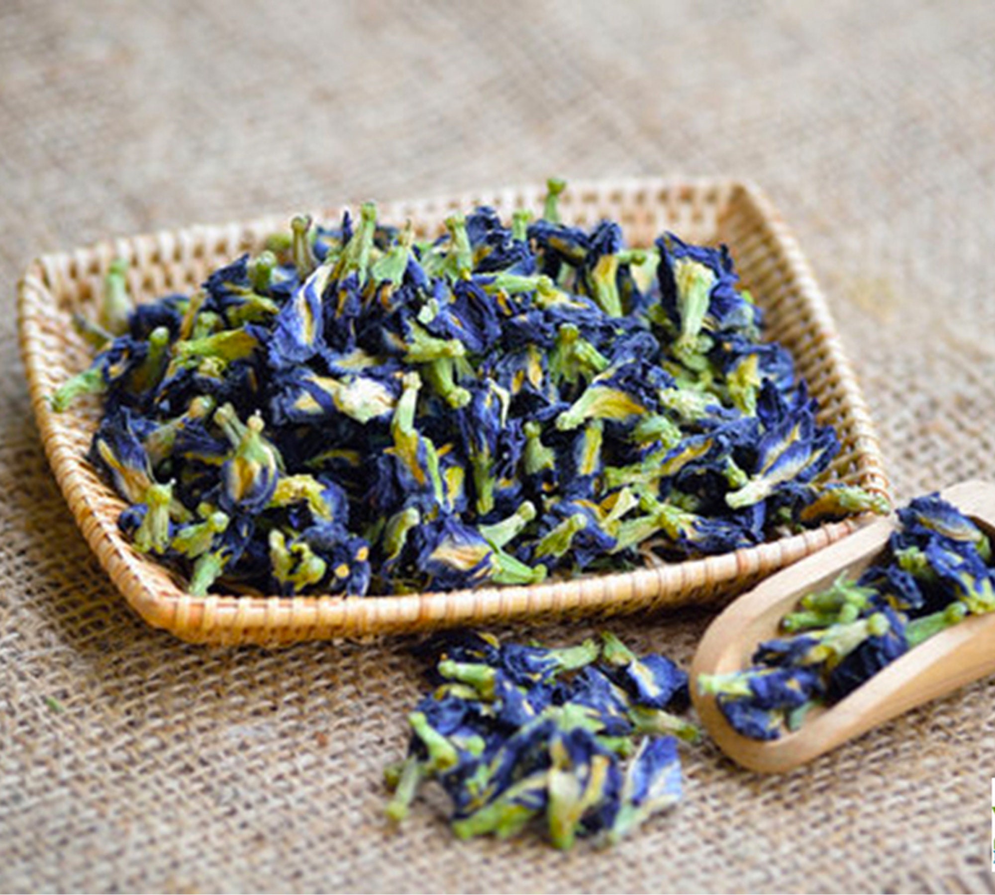 100% Organic Butterfly Pea Flower Tea Clitoria Ternatea Herbal Tea ...
