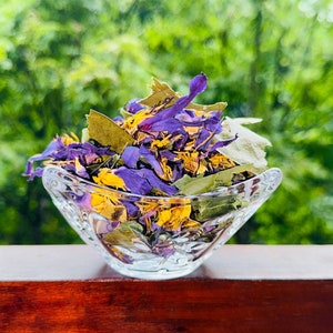 Egyptian Blue Lotus Flowers With Calea Zacatechichi Blend | Lucid ...