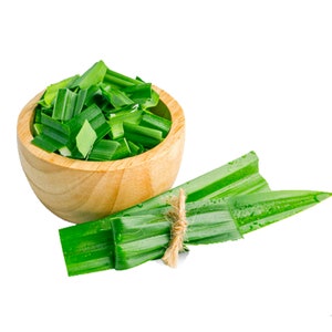 ORGANIC PANDAN Leaf Powder | Pandanus Amaryllifolius | Daun Pandan ...