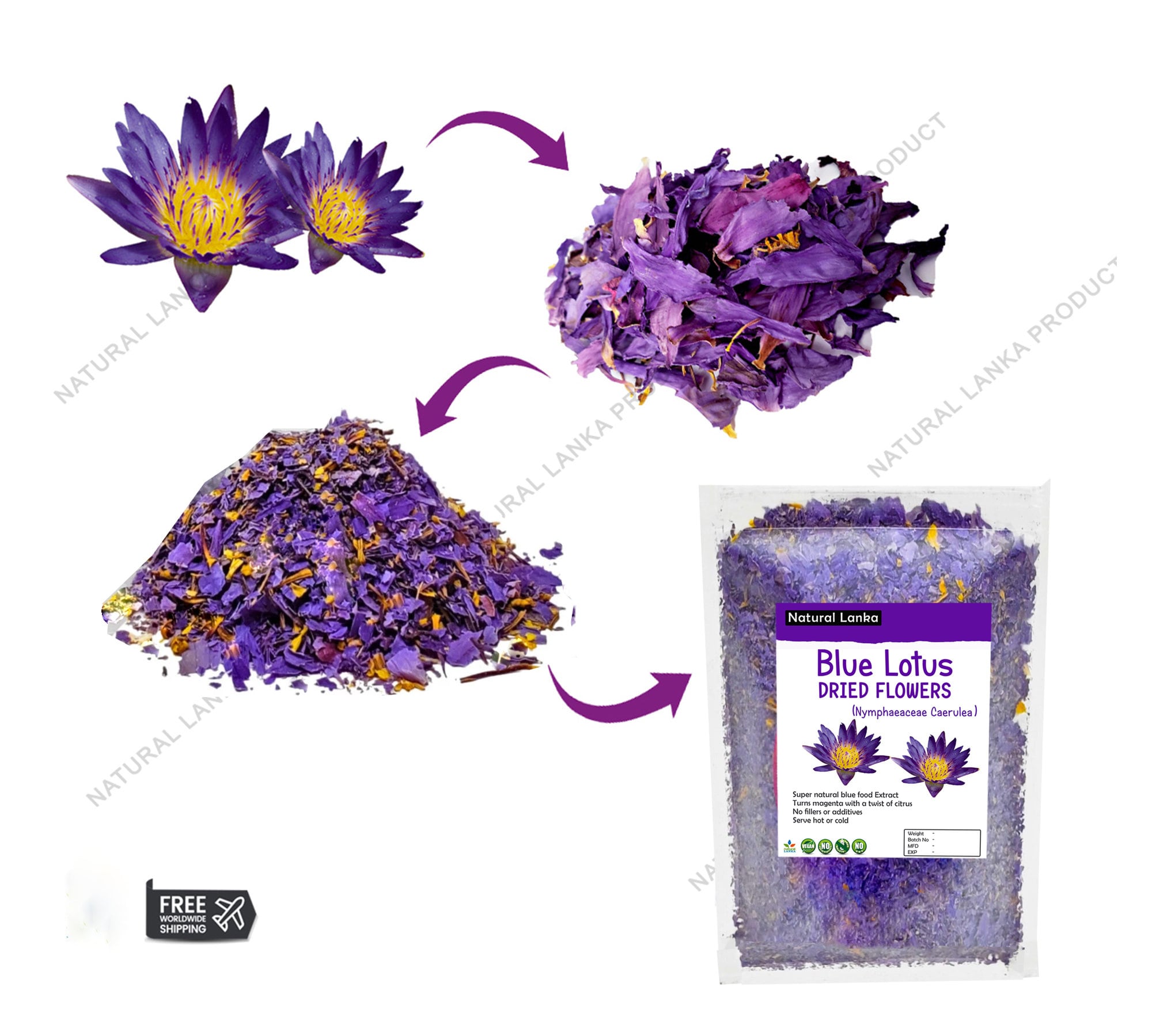 PRE-GROUND Egyptian Blue Lotus Petals & Stems Blend • Nymphaea Caerulea ...