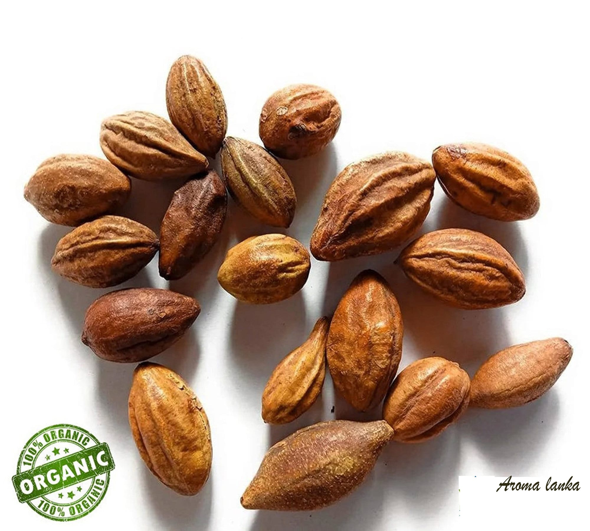 Haritaki Organic Whole Seeds (chebulic Myrobalan) Dried Haritaki Fruit ...
