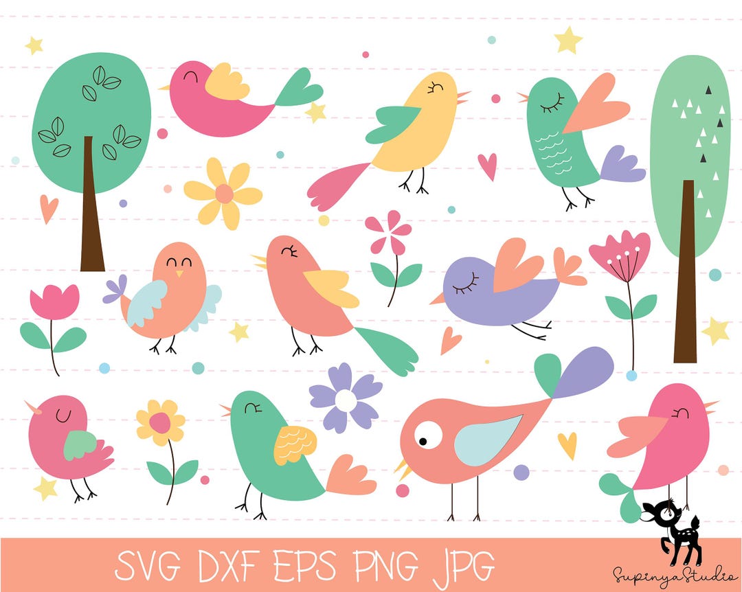 Cute Birds Clipart Set |spring Cute Birds Clipart| Spring Animal Clip ...