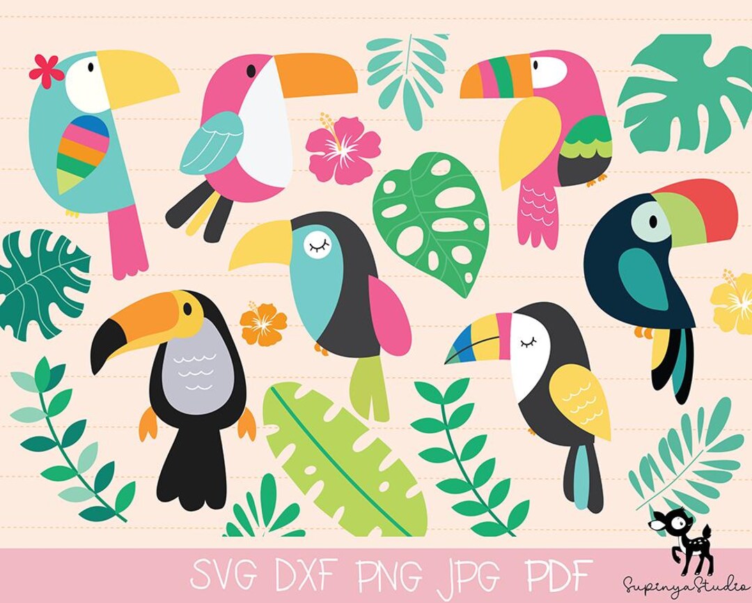 Tropical Bird Clipart - Cute Toucan & Parrot SVG Bundle | Jungle Birds ...