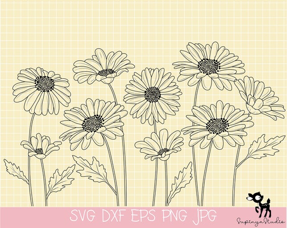 Daisy SVG bundle Bouquet svg bundle floral svgwildflowers | Etsy