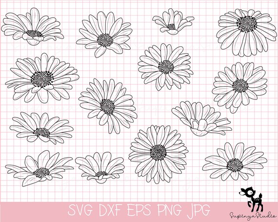 14 Daisy SVG Bundle Bouquet Svg Bundle floral - Etsy Australia
