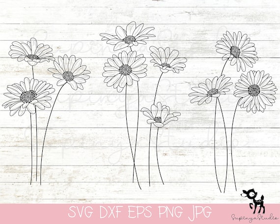 Daisy SVG bundle Bouquet svg bundle floral svgwildflowers | Etsy
