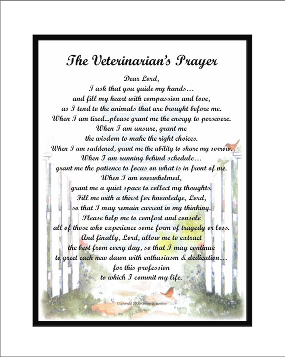 Veterinarian Poems Best Vet Et Word Family Poem Of The Week Short
