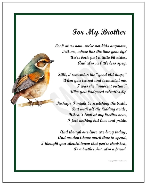 I Love My Big Brother Poems