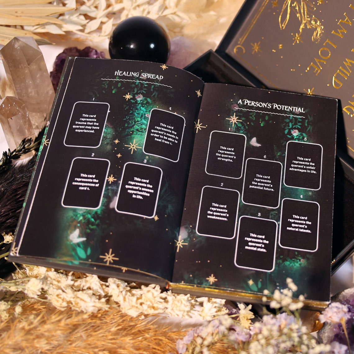 The Wild Muse Oracle Deck & Guidebook - Etsy