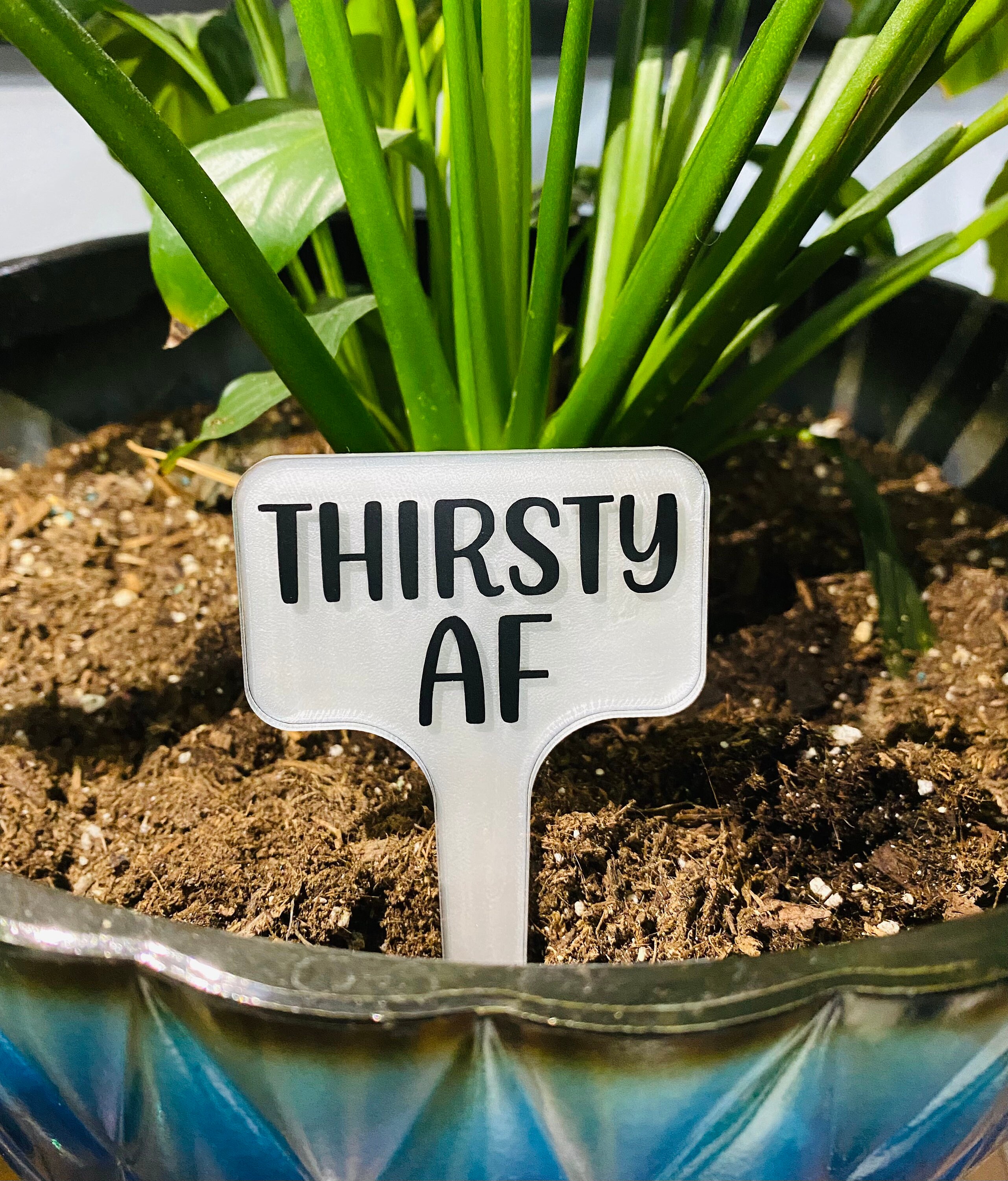 Plant Stake Funny Plant Stakes Housewarming Gift Gift for - Etsy