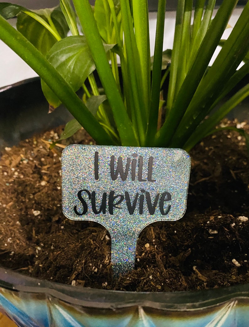 Plant Stake Funny Plant Stakes Housewarming Gift Gift for - Etsy