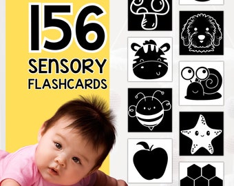 Baby Sensory Flash Cards, Baby Sensory Cards Printable, Baby Sensory ...