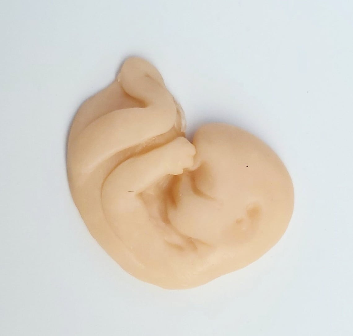 Silicone Mold for Embryo/fetus of Different Ages | Etsy