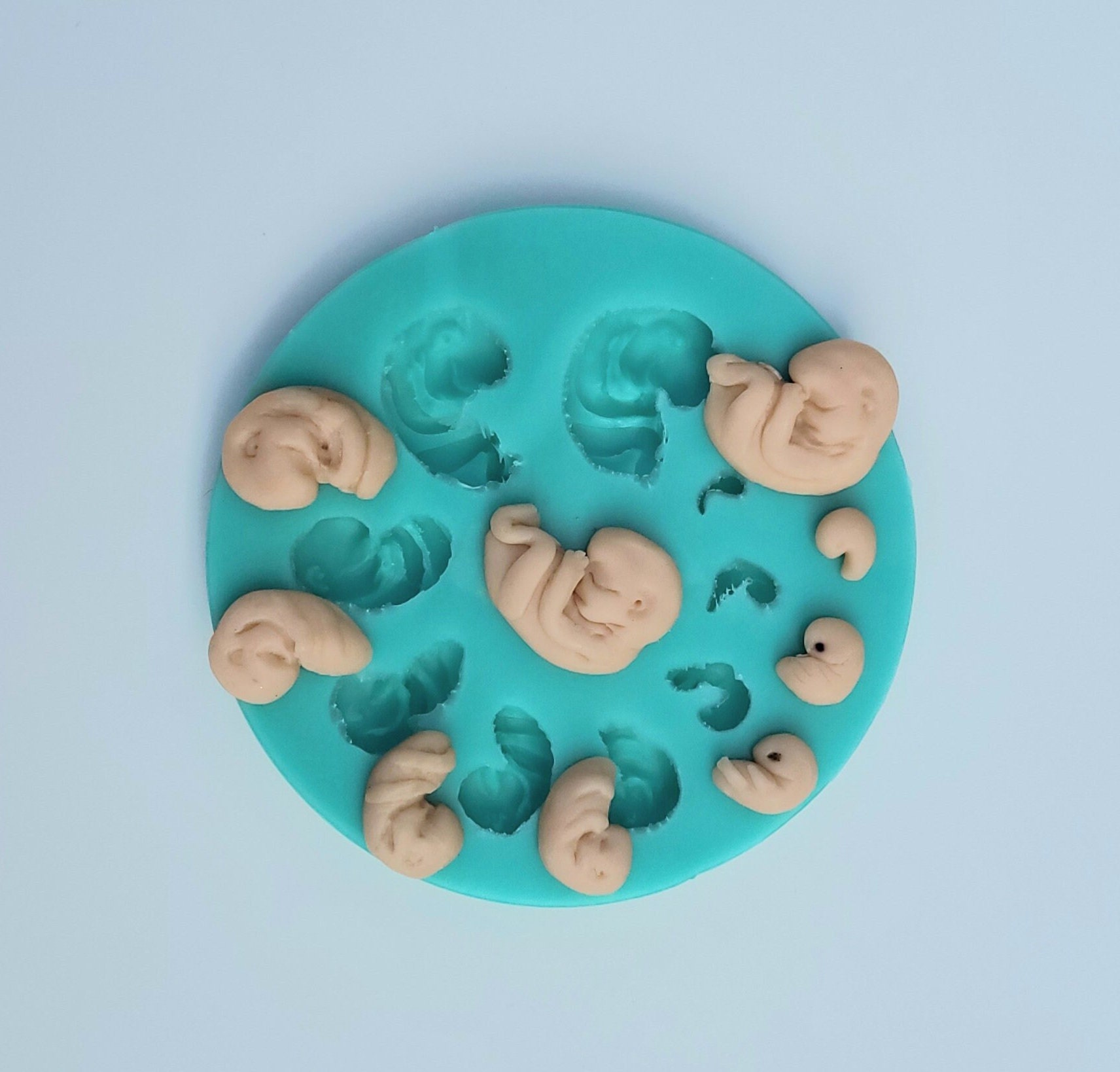 Silicone Mold for Embryo/fetus of Different Ages | Etsy