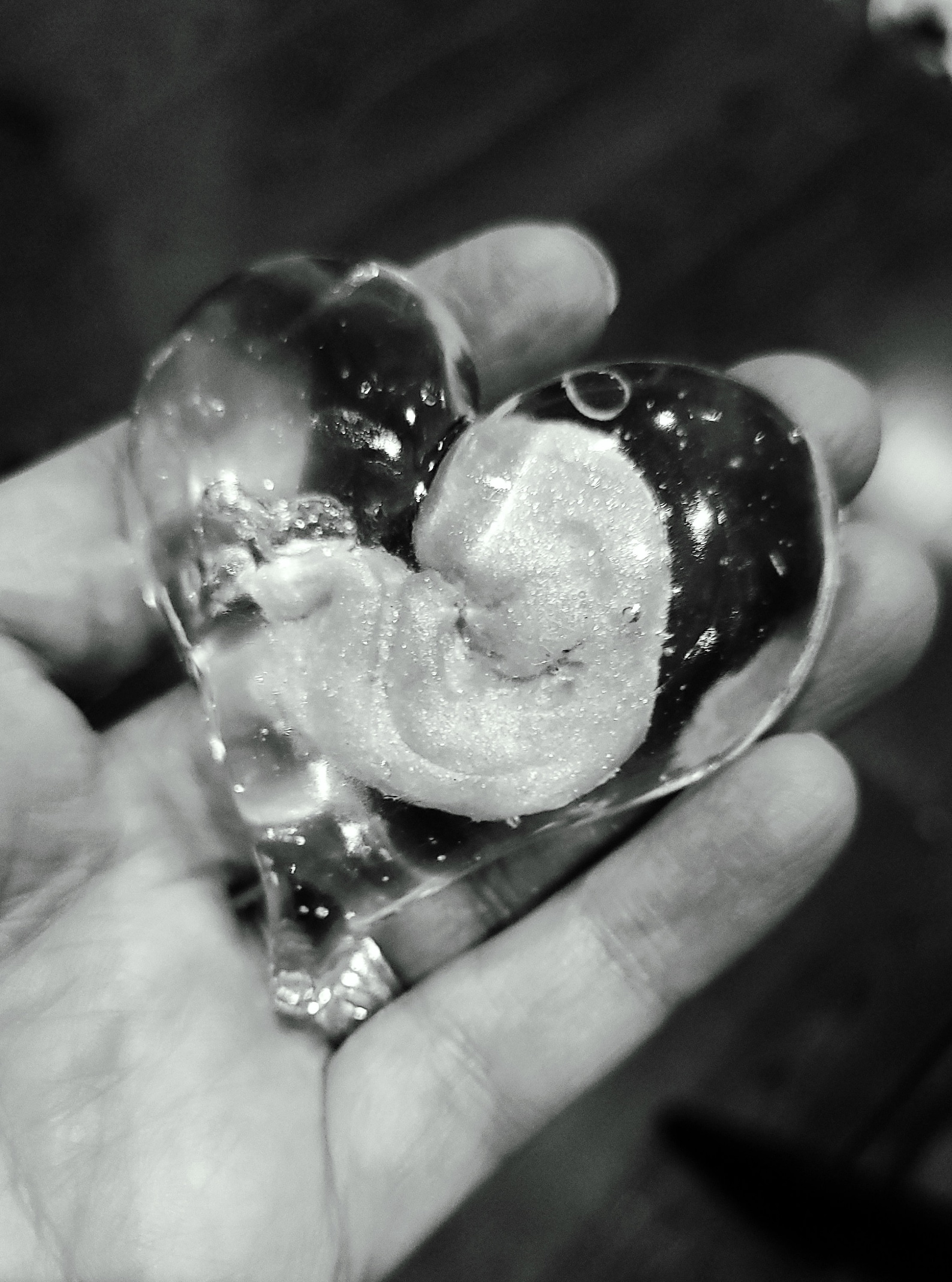 Silicone Mold for Embryo/fetus of Different Ages | Etsy