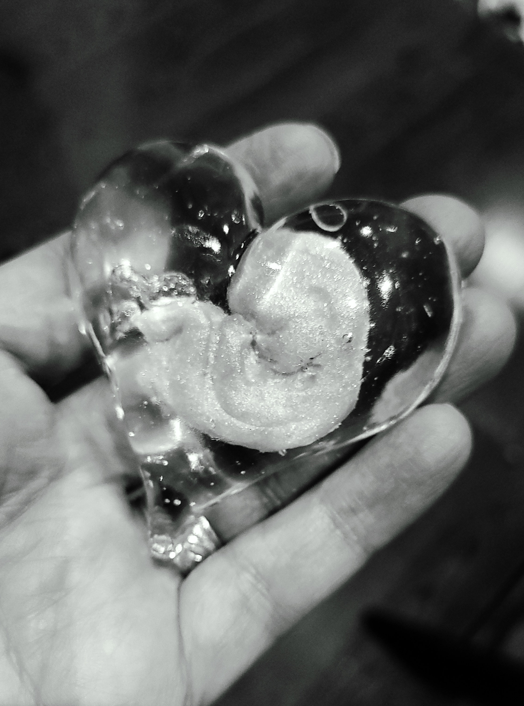 Silicone Mold for Embryo/fetus of Different Ages | Etsy