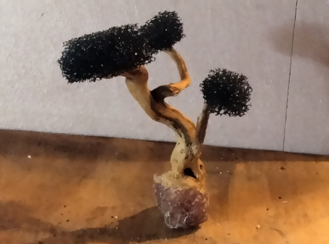 Nano Sized Bonsai Tree - Etsy
