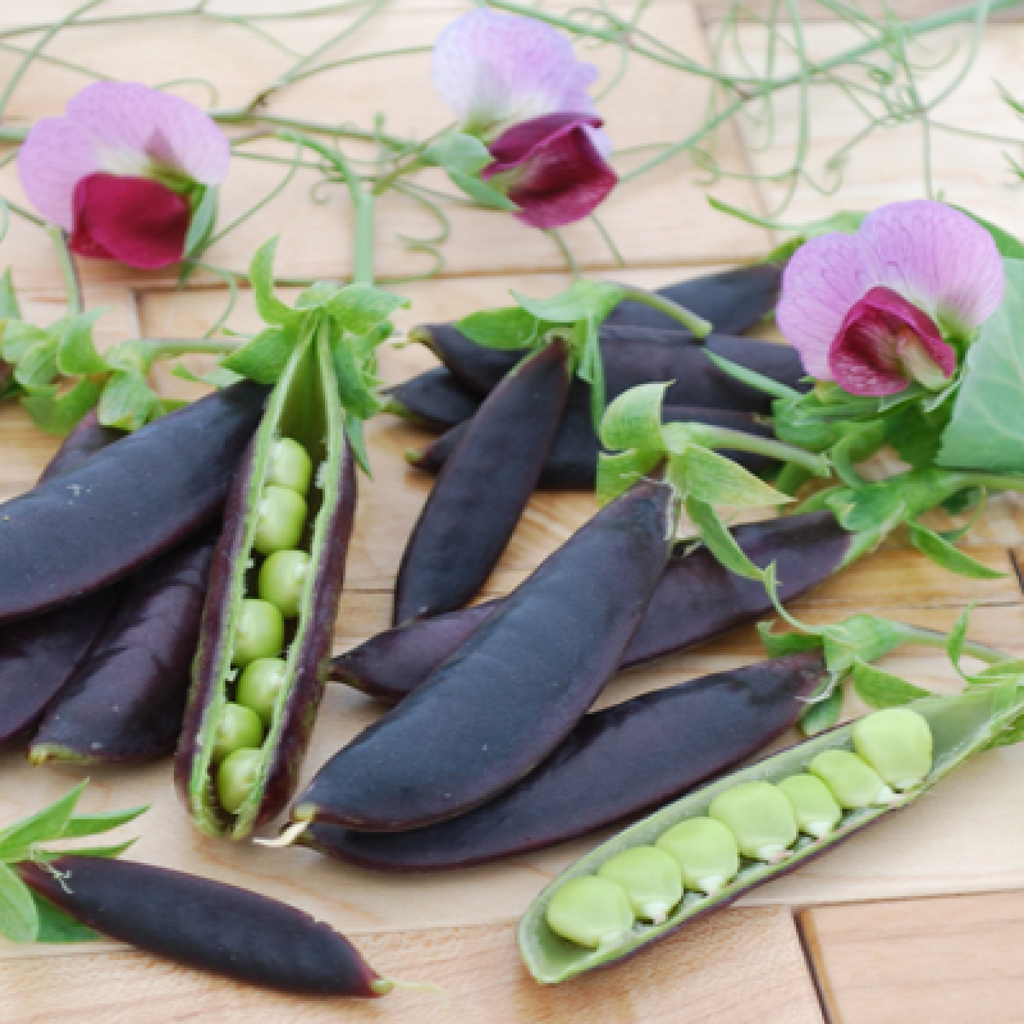 Purple Pea Pods