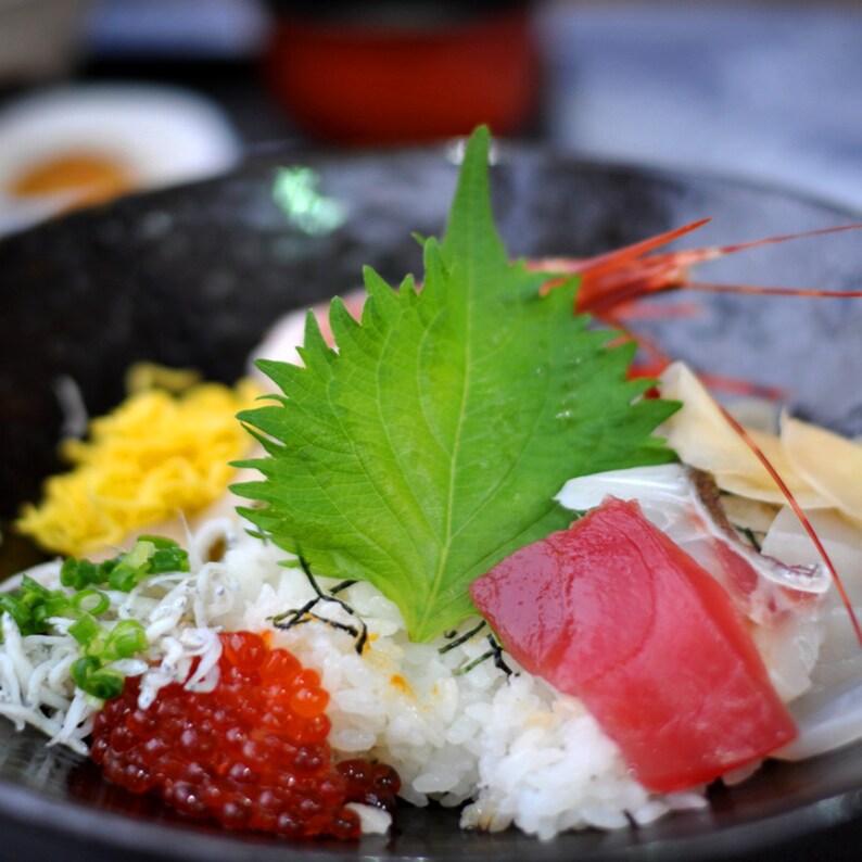 Green Shiso Seeds Ao Shiso Green Perilla Frutescens Ohba Ao | Etsy