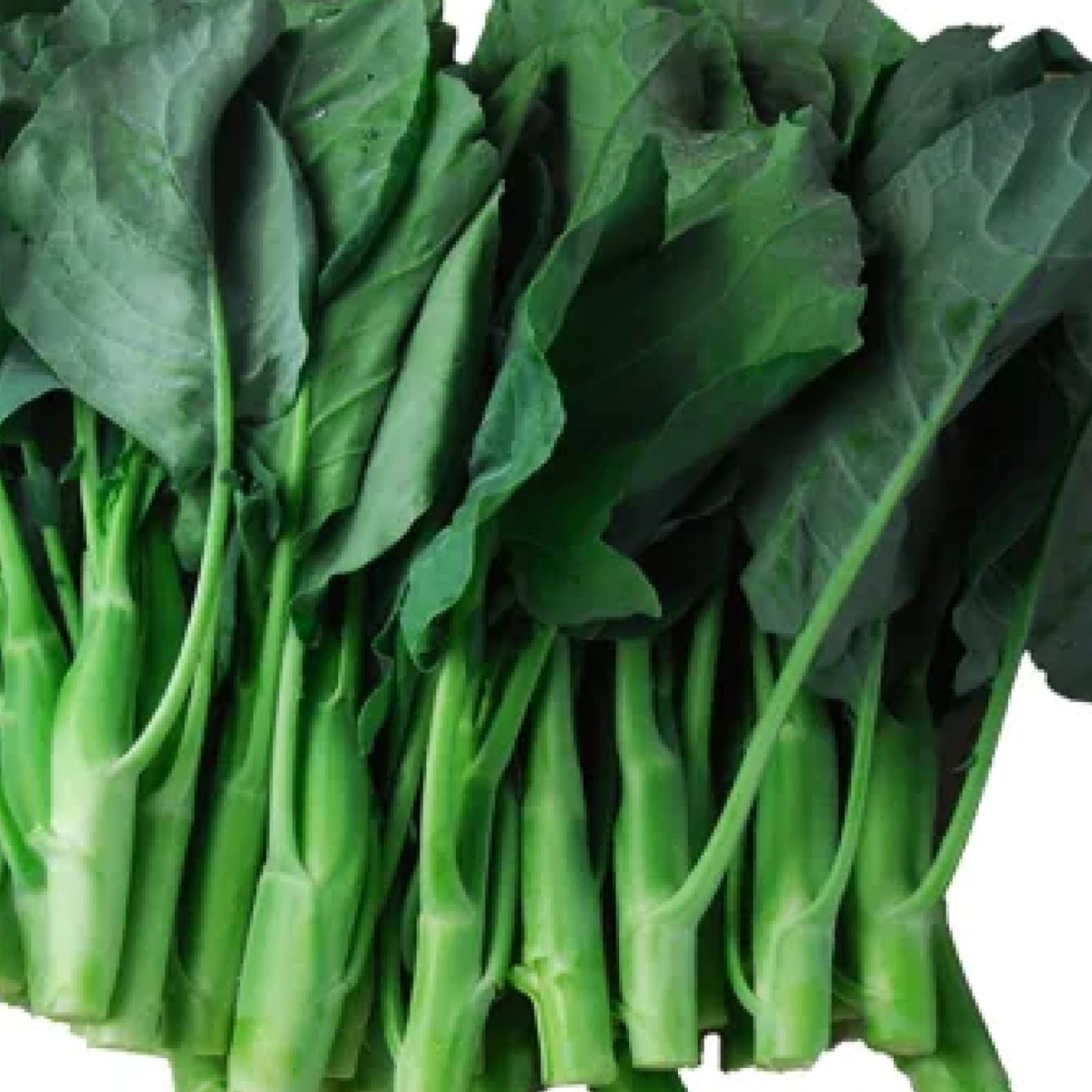 Gai Lan Shippers