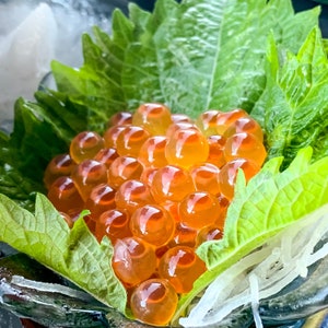 Green Shiso Seeds Ao Shiso Green Perilla Frutescens Ohba Ao - Etsy