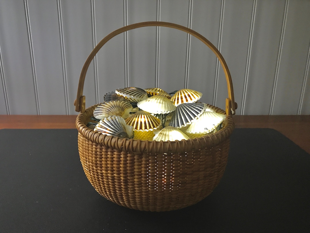 Nantucket Scallop String Lights / 8 Feet Long - Etsy