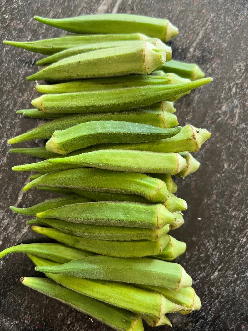 Desi Okra, 5 Ridged Indian Okra Approximately 20 Seeds. Grown in US ...