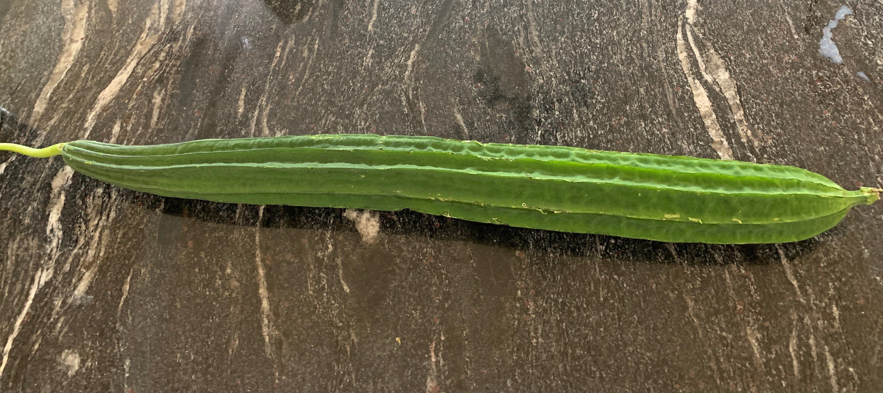 10 Seeds for Torai/ridged Gourd/chinese Okra - Etsy