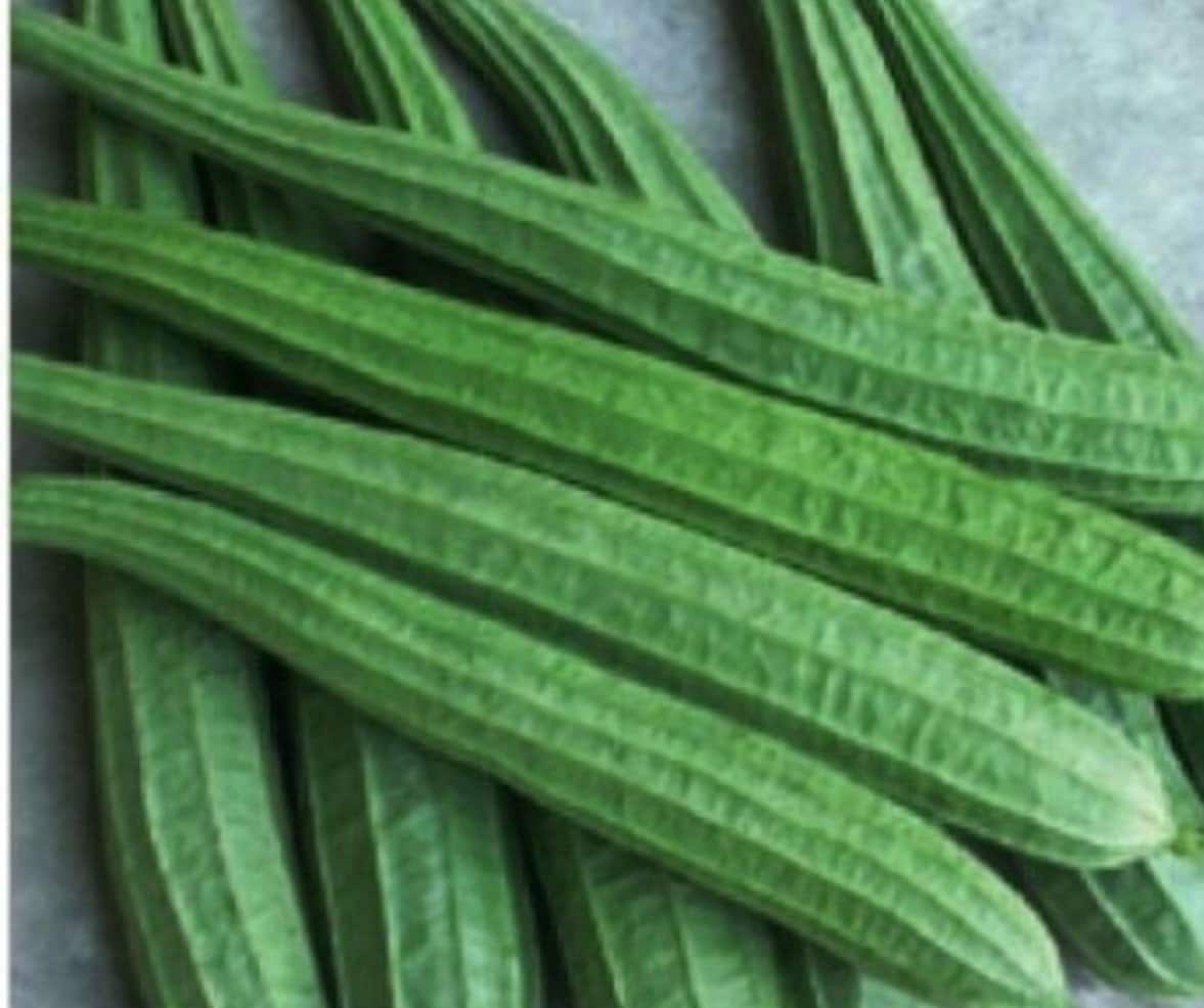 10 Seeds for Torai/ridged Gourd/chinese Okra - Etsy
