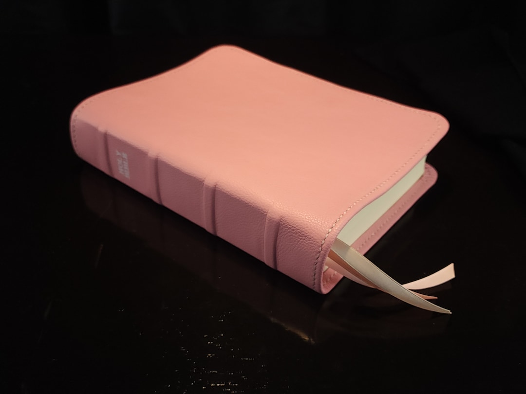 Custom Bible - Baby Pink Cowhide Leather ESV Journaling Bible With ...