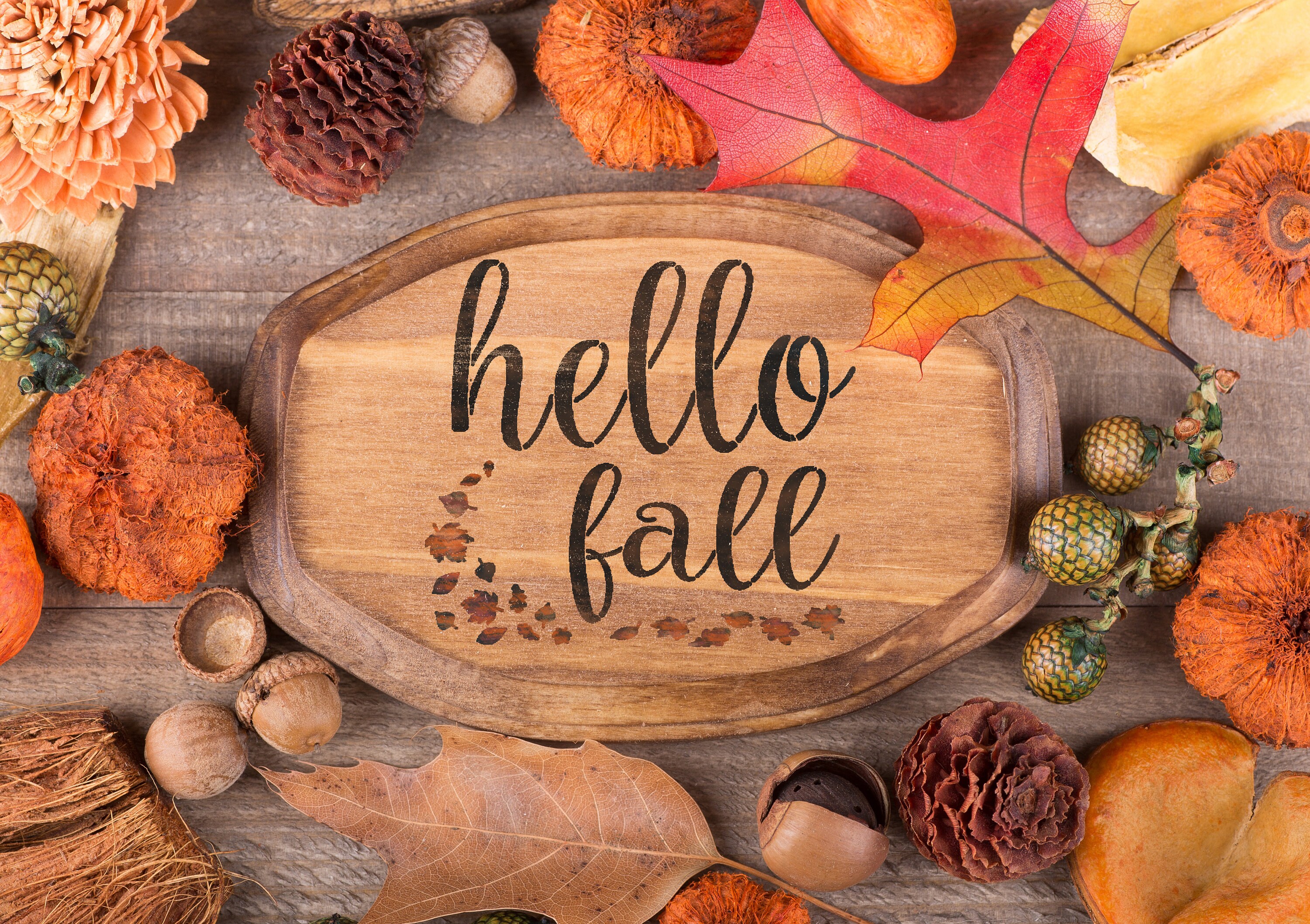 HELLO FALL Stencil -fall Stencils for Painting, DIY Sign, Fall Decor ...