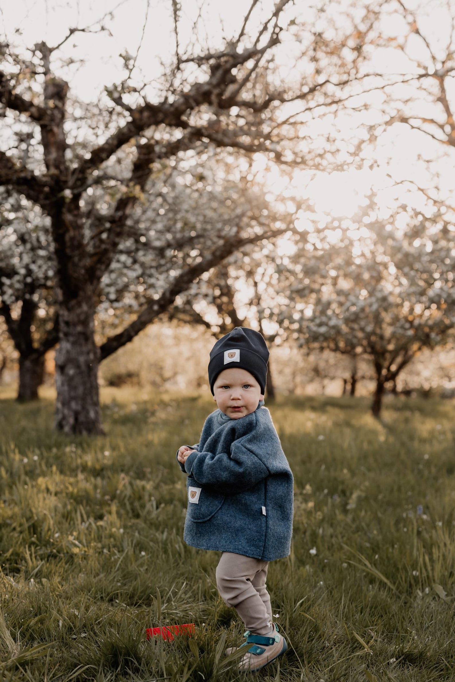 Wale Sweater Wale Jacket Toddler Baby Child 100% Virgin Wool Wale ...