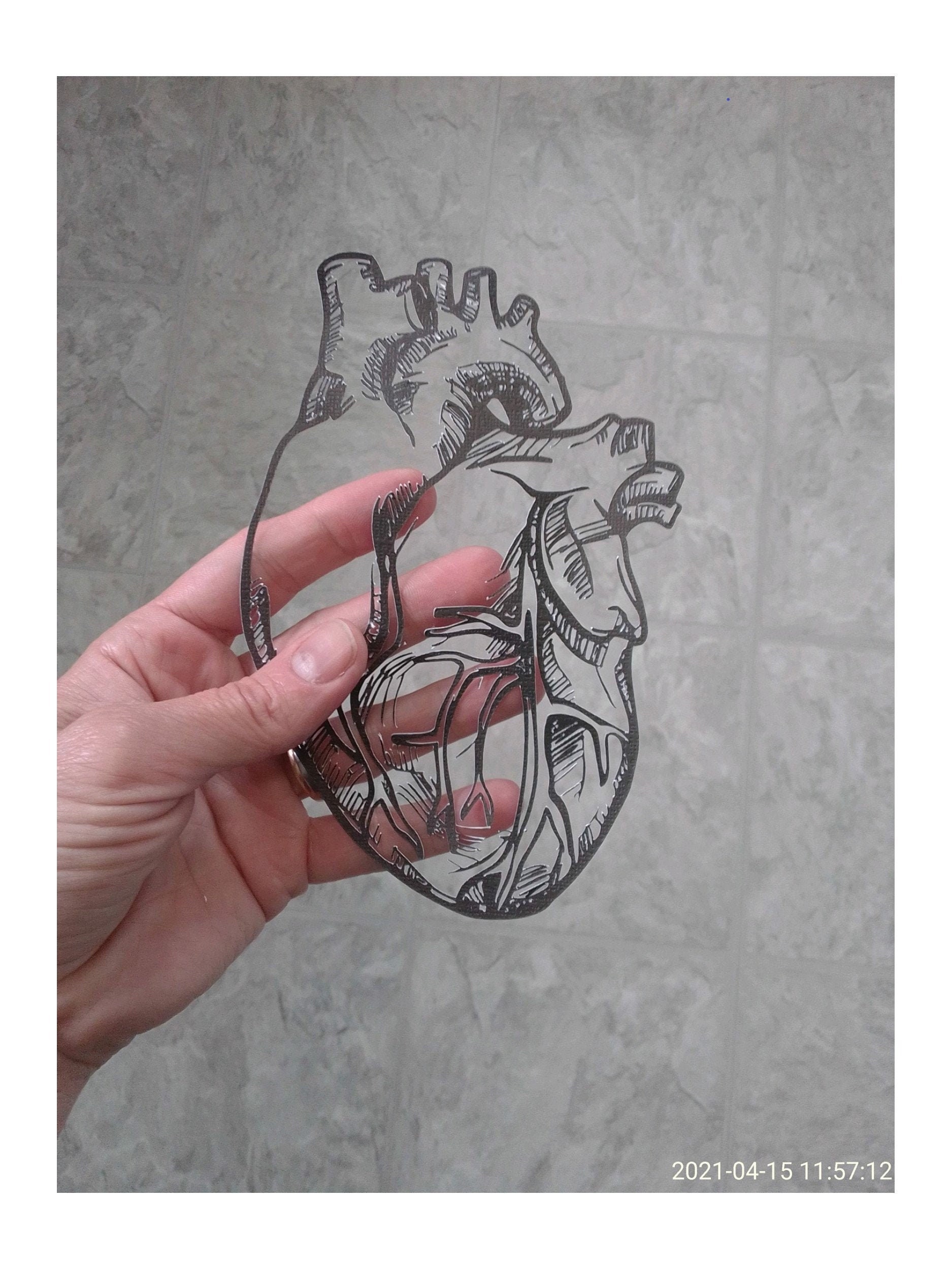 Anatomically Correct Heart Stencil